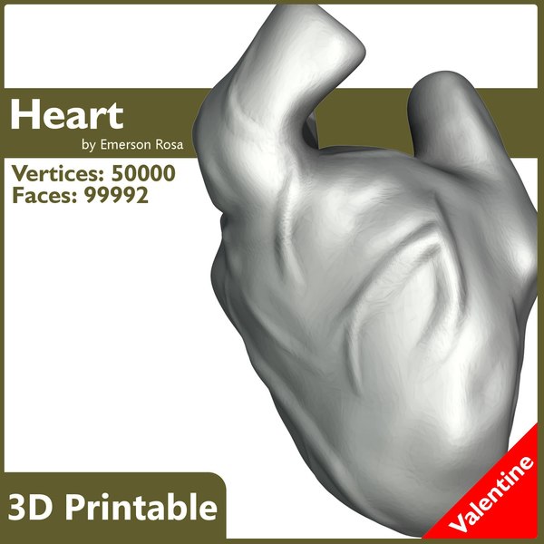 STL Anatomy-Human-Heart Models | TurboSquid