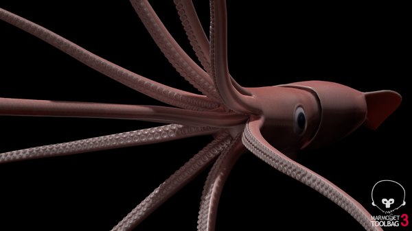 3D giant squid model - TurboSquid 1456636