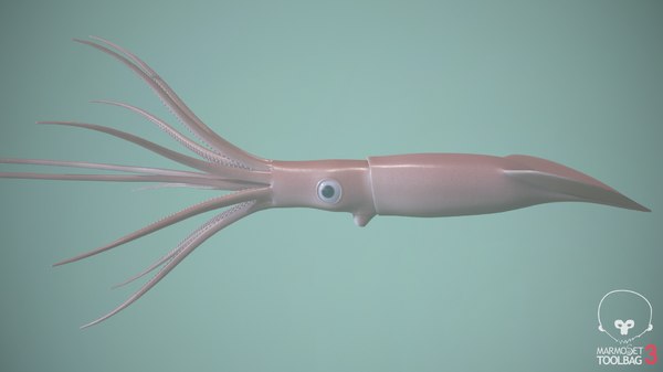 3D giant squid model - TurboSquid 1456636