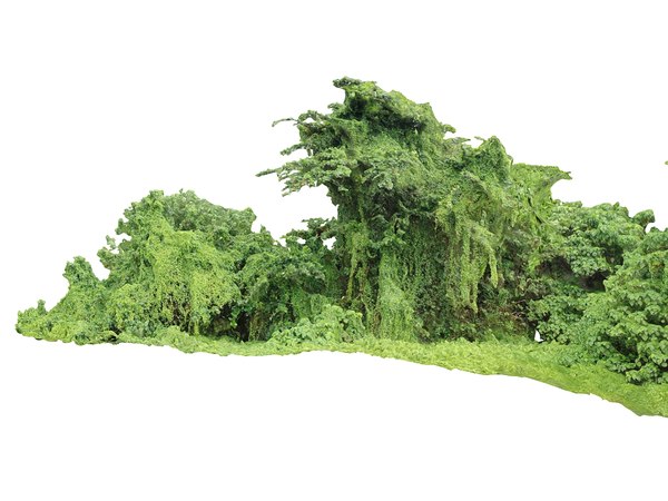 3D forest jungle background - TurboSquid 1456669