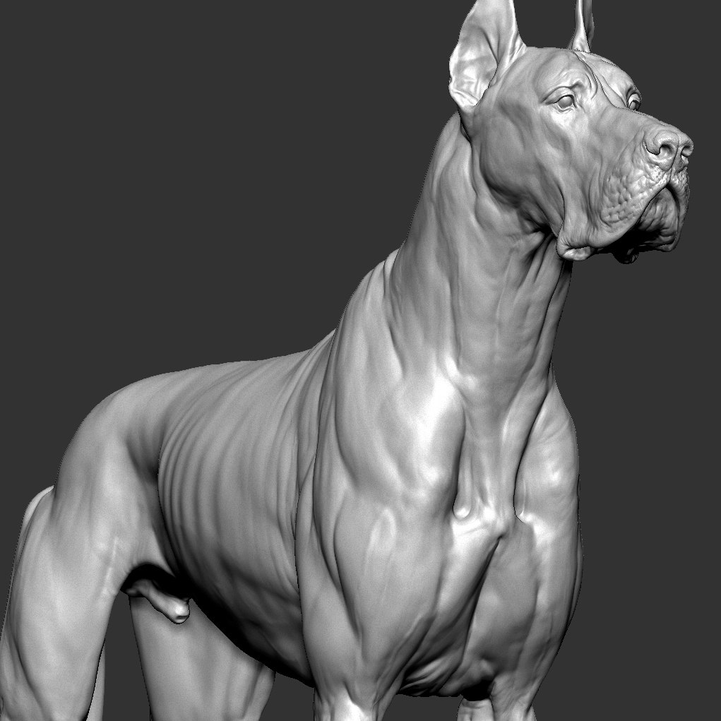 Dog 3D model - TurboSquid 1456971
