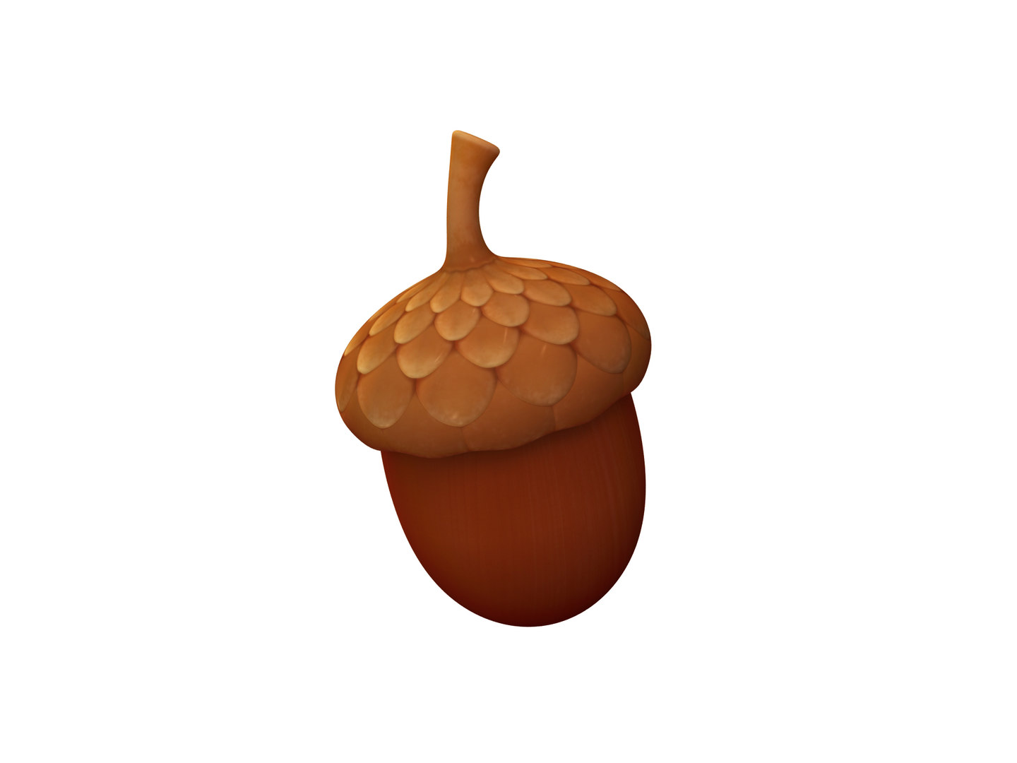 Acorn cartoon 3D - TurboSquid 1457800