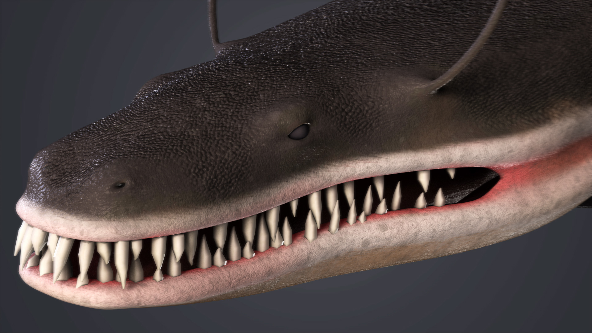 3D monster fish - TurboSquid 1458617