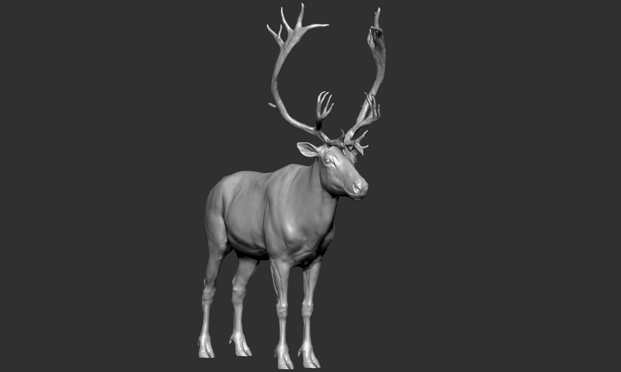 3D reindeer zbrush model - TurboSquid 1404301