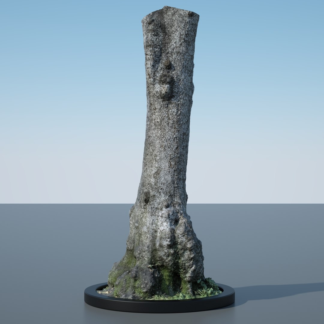 Tree trunk - 3D model - TurboSquid 1459589