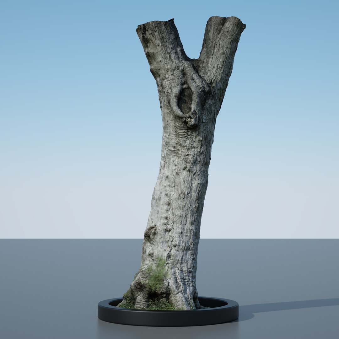 Tree Trunk 3d Model Turbosquid 1459646