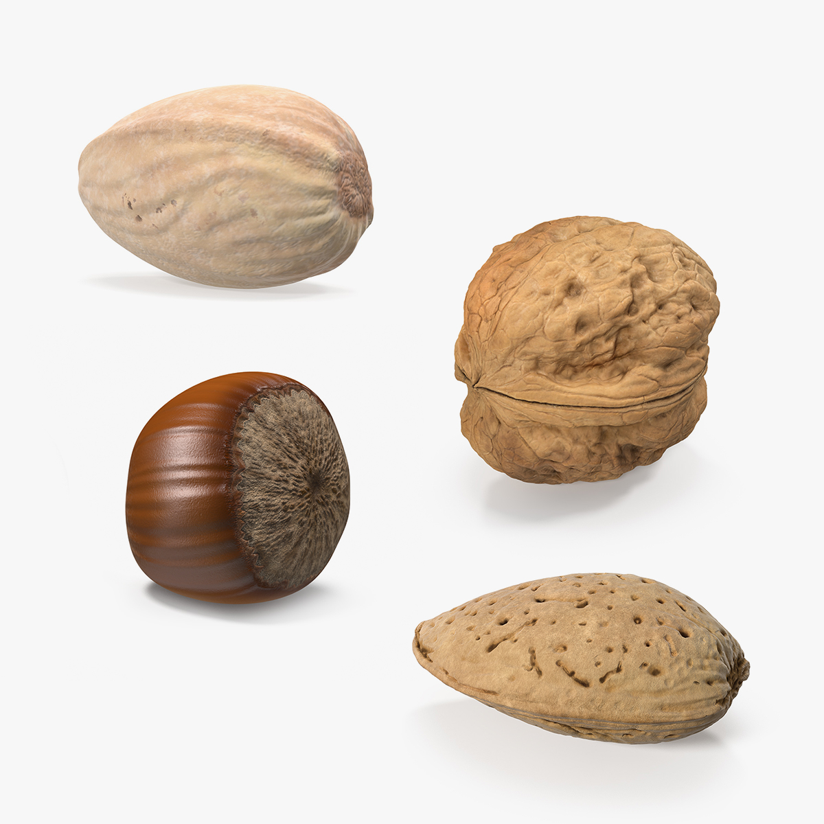 3D nuts 3 model - TurboSquid 1459880