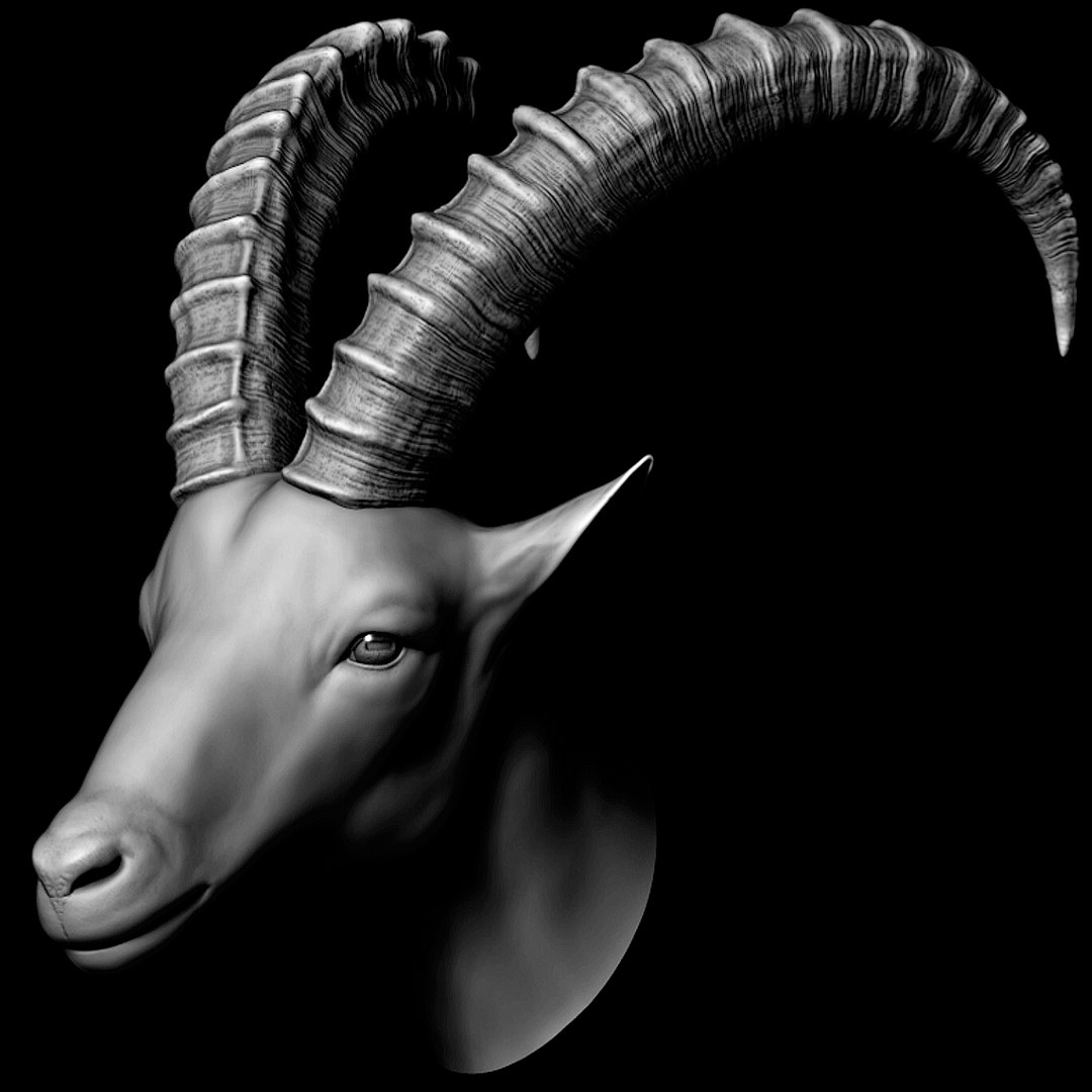 3D model goat head - TurboSquid 1460115