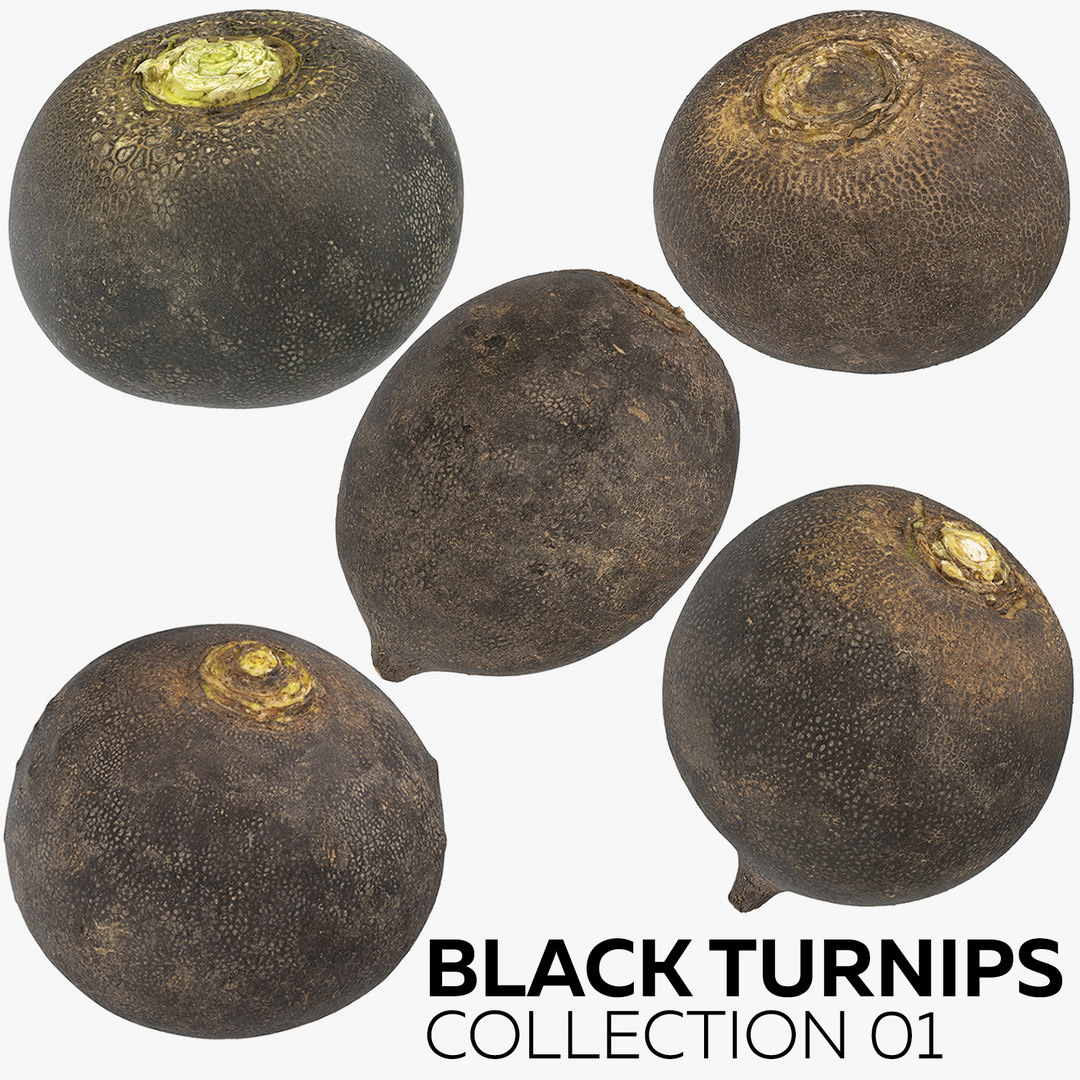 Black turnip 01 3D - TurboSquid 1460039