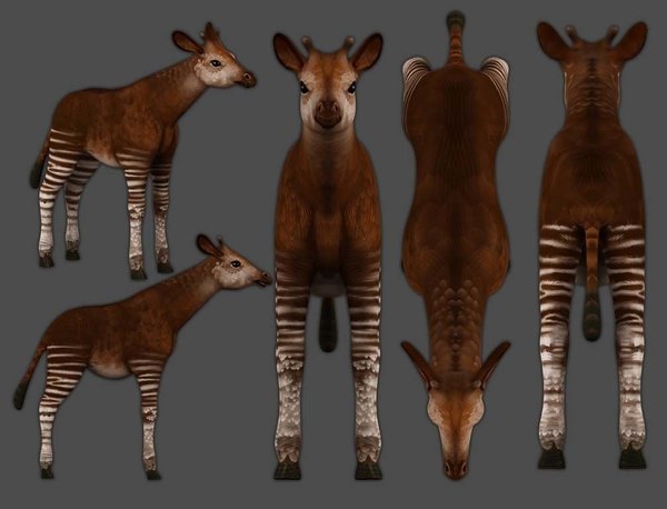 3D okapi low-poly model - TurboSquid 1461584