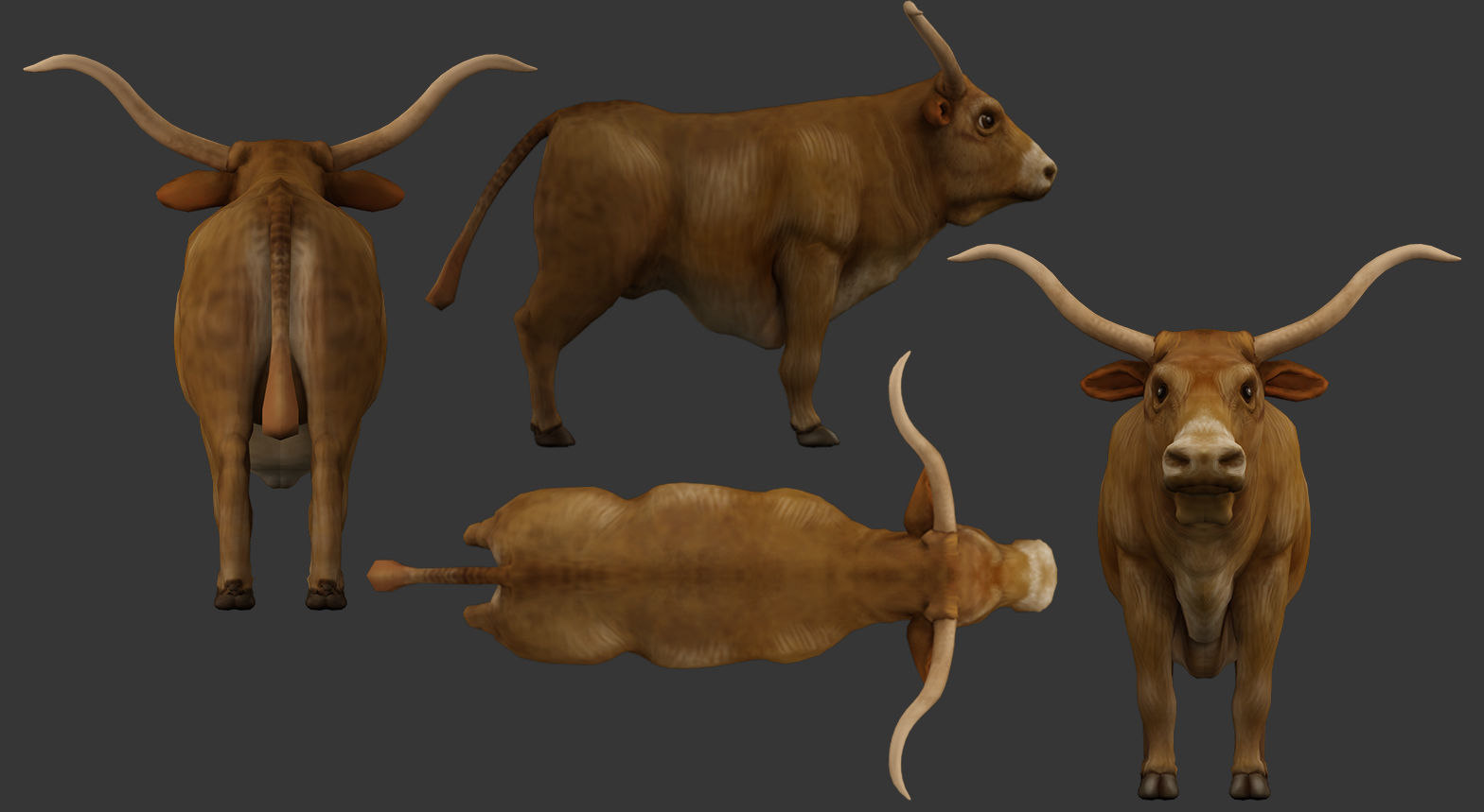 3D bull low-poly - TurboSquid 1461595