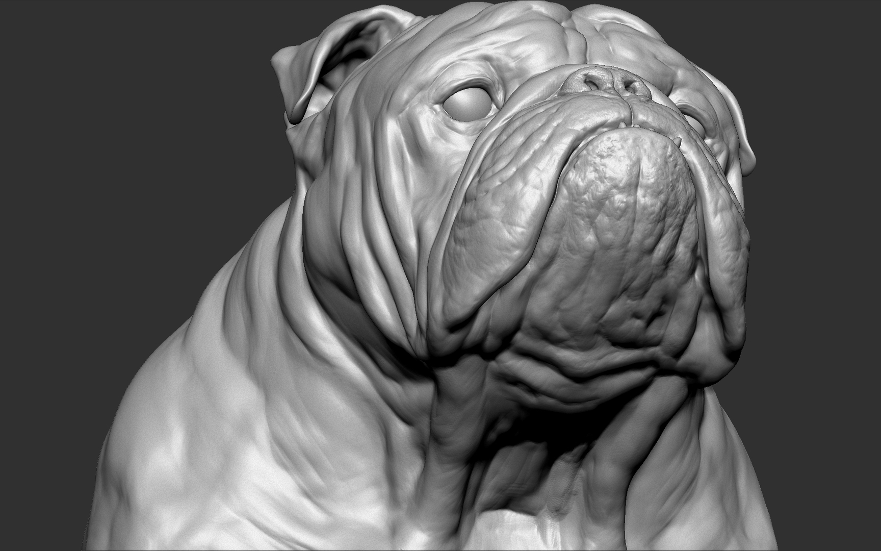 modelo 3d Bulldog Inglés VFX Zbrush esculpir - TurboSquid 1461982