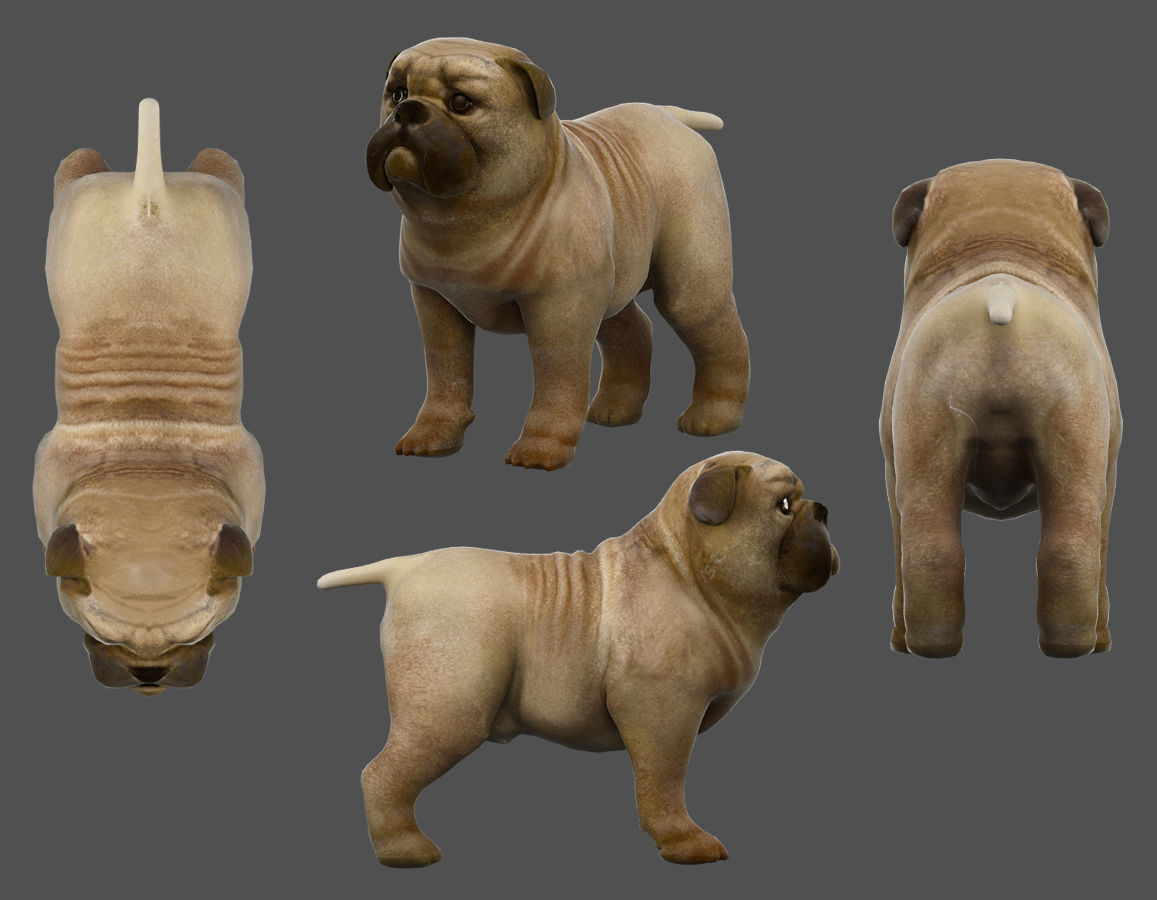 Pug 3D Models for Download | TurboSquid