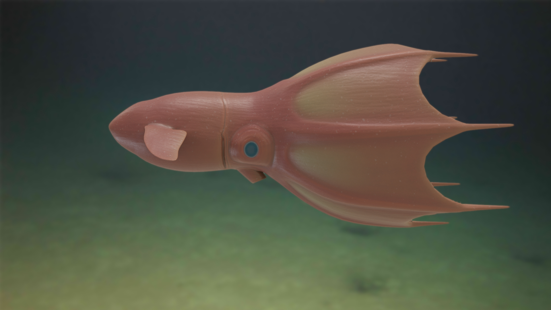 Vampire squid 3D model - TurboSquid 1463925