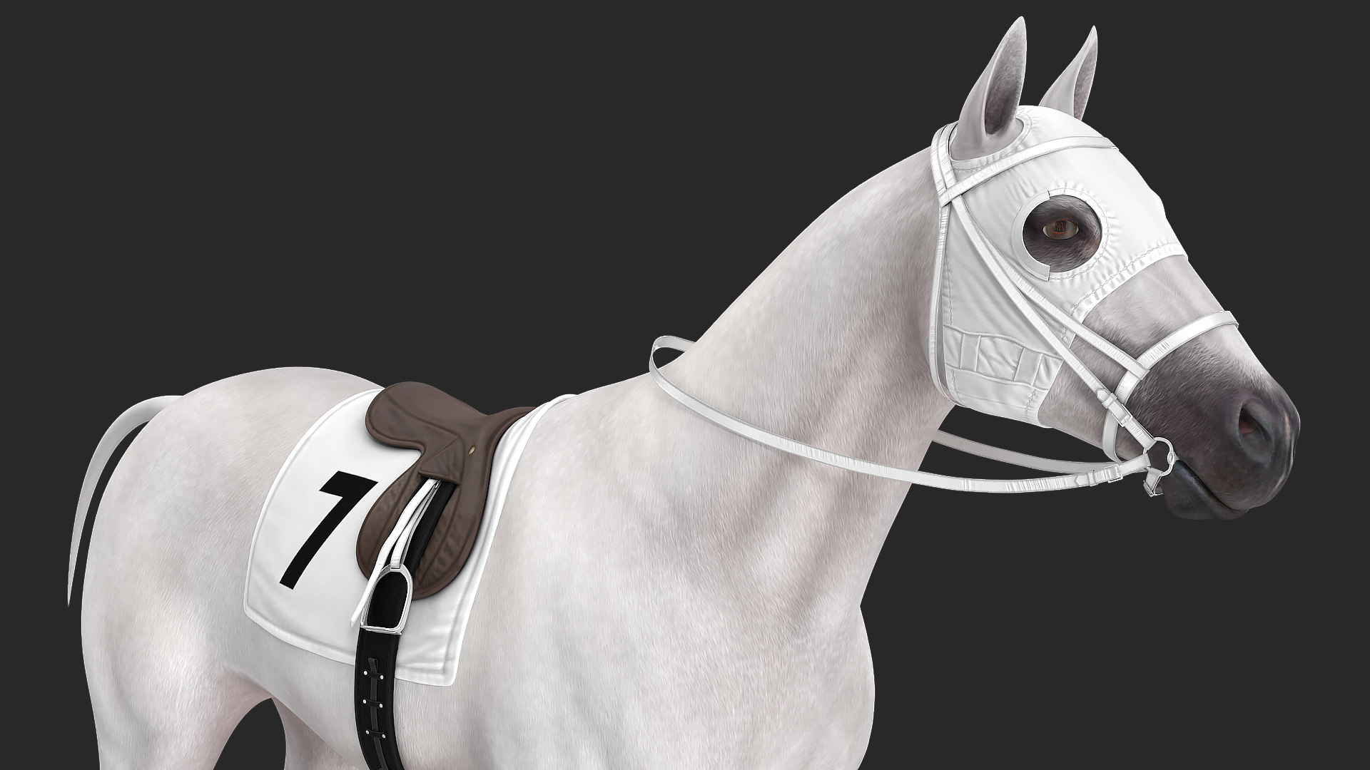 White racehorse horse racing 3D model - TurboSquid 1463973
