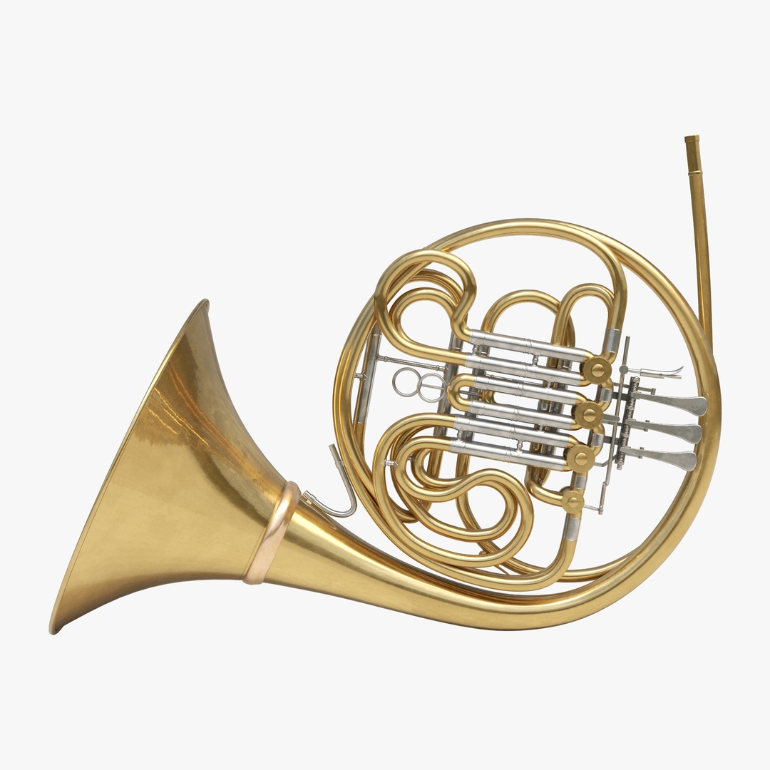 modèle 3D de Cor français - TurboSquid 1463981