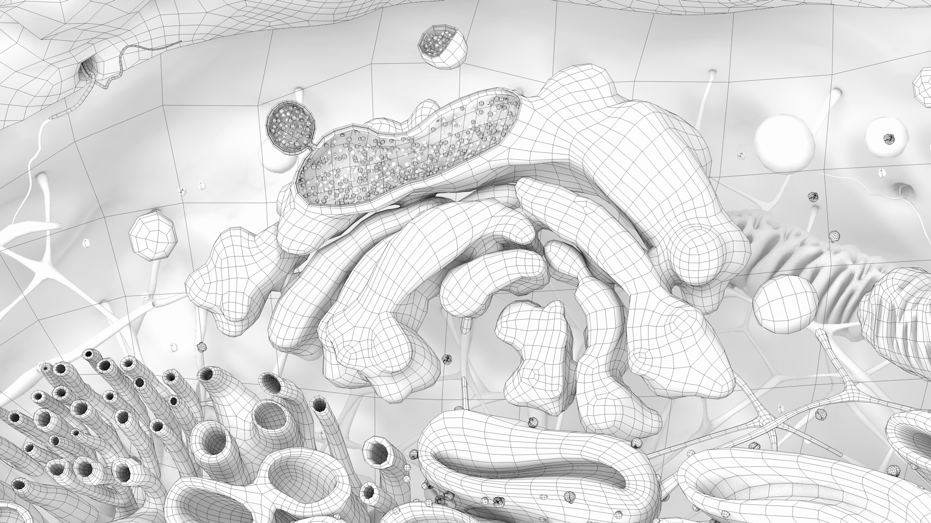 3D cancer cell nucleus model - TurboSquid 1464153