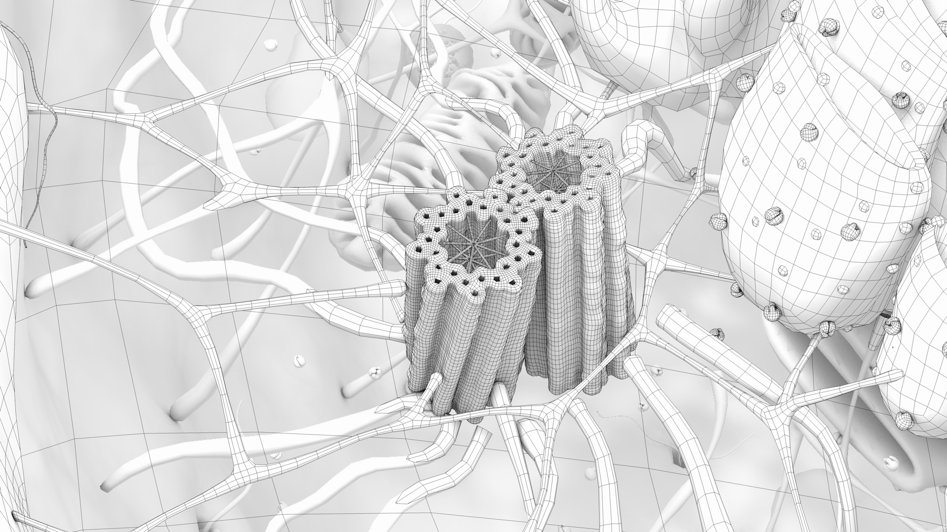 3D cancer cell nucleus model - TurboSquid 1464153