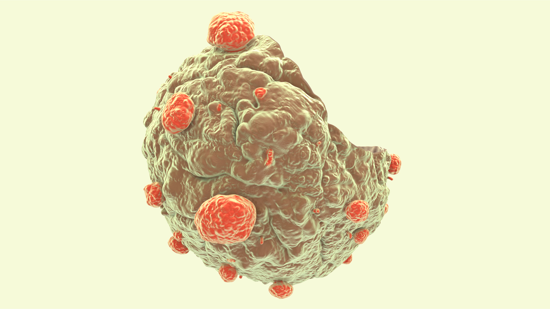 3D cancer cell nucleus model - TurboSquid 1464153