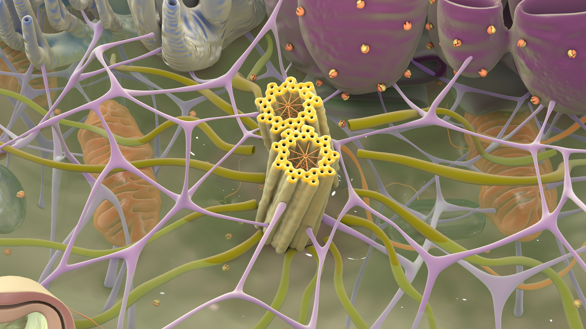 3D cancer cell nucleus model - TurboSquid 1464153
