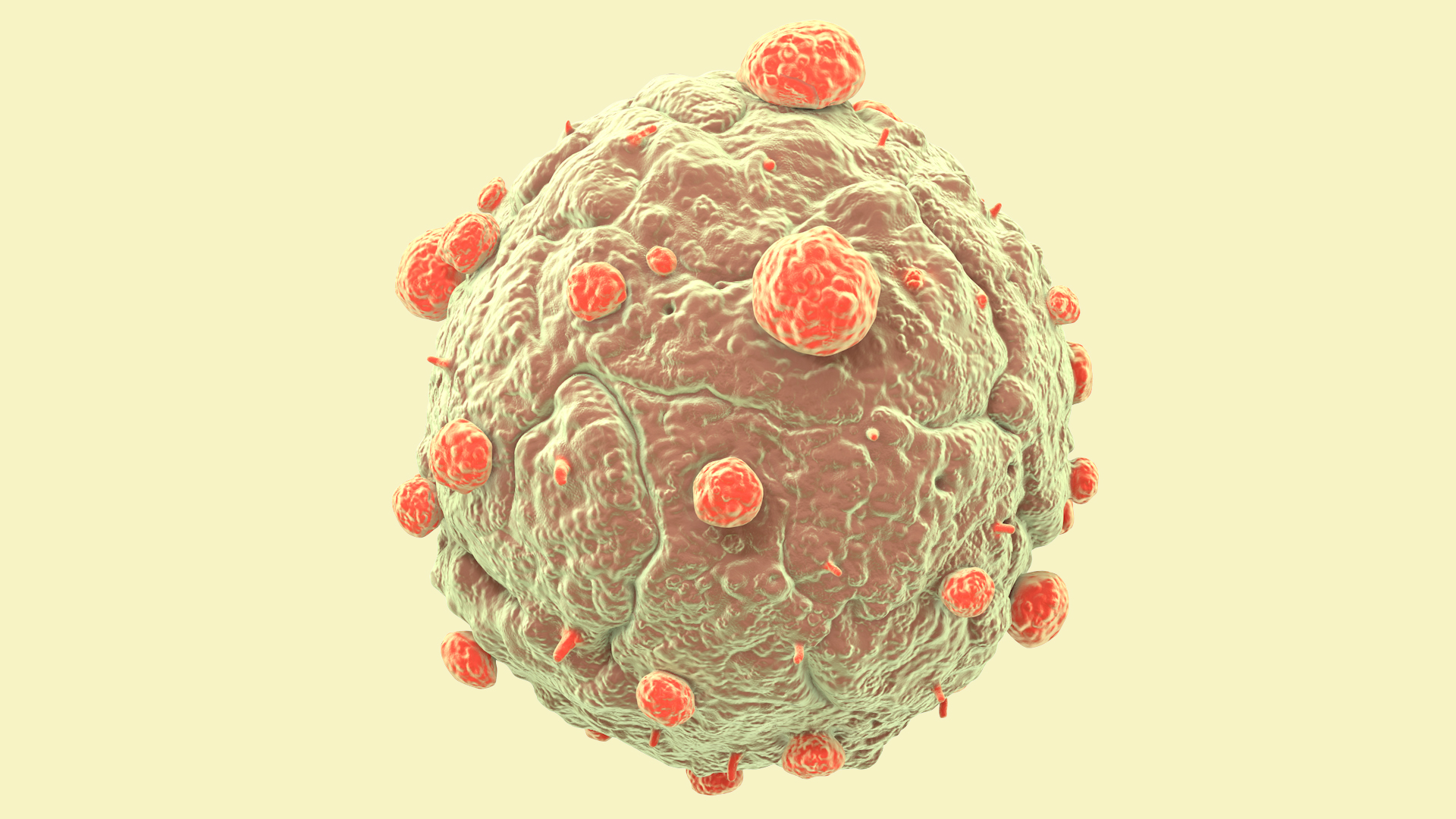 3D cancer cell nucleus model - TurboSquid 1464153