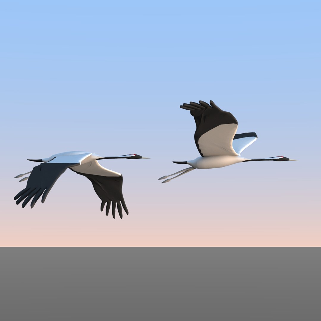 Cranes flying birds 3D model - TurboSquid 1464530
