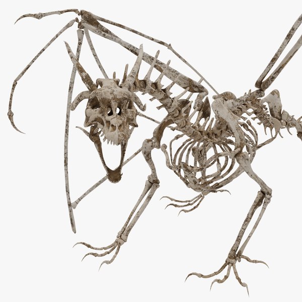 Dragon 3D Models for Download | TurboSquid