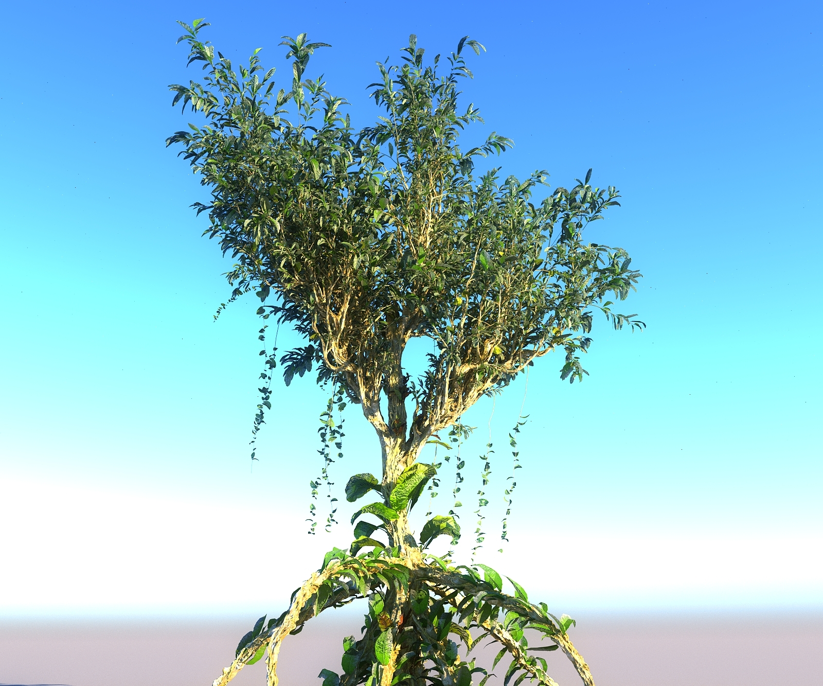3D rain forest ecosystems model - TurboSquid 1466105