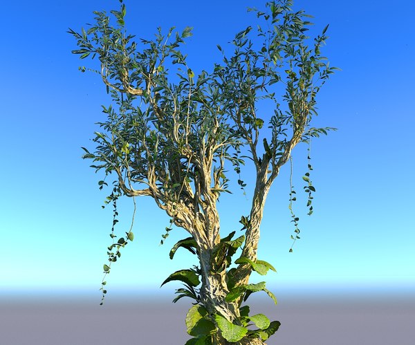 3D rain forest ecosystems - TurboSquid 1466097
