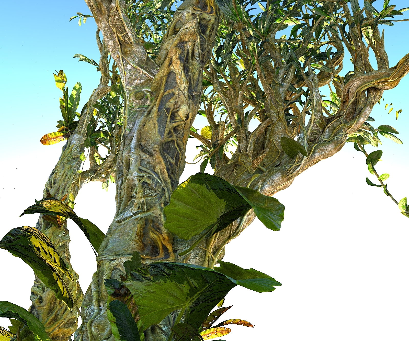 3D rain forest ecosystems - TurboSquid 1466097
