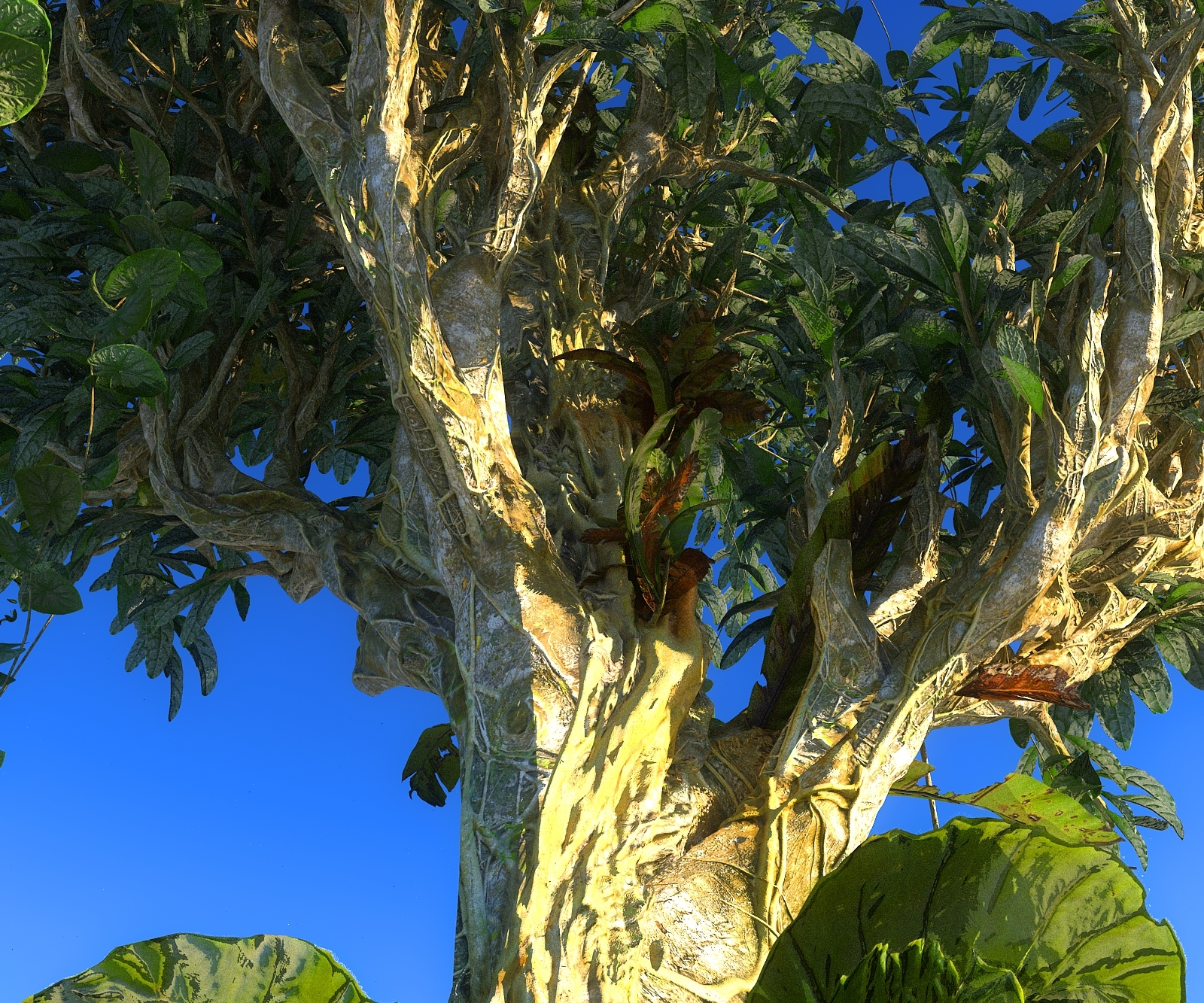 3D rain forest ecosystems model - TurboSquid 1466105