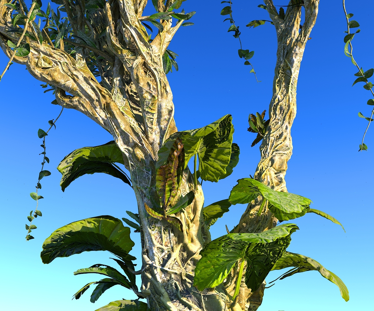 3D rain forest ecosystems - TurboSquid 1466097