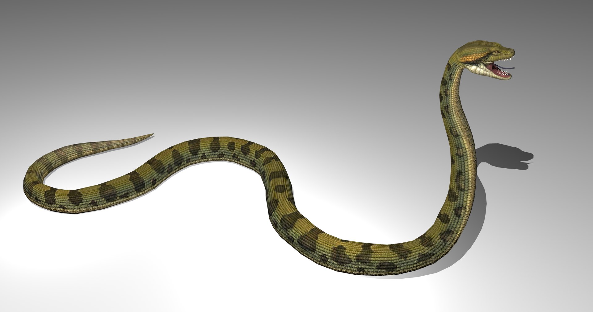 Anaconda animal snake 3D - TurboSquid 1466159