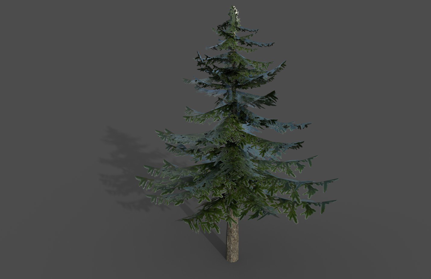 Pine tree 3D model - TurboSquid 1466274