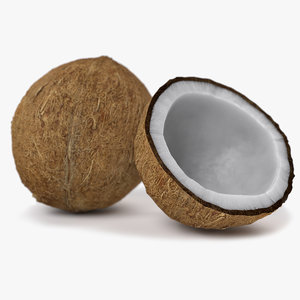 3D Coconut Models | TurboSquid