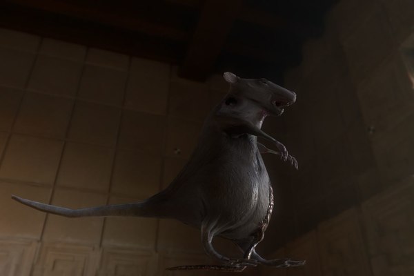 3D model scary zombie rat animation - TurboSquid 1467532