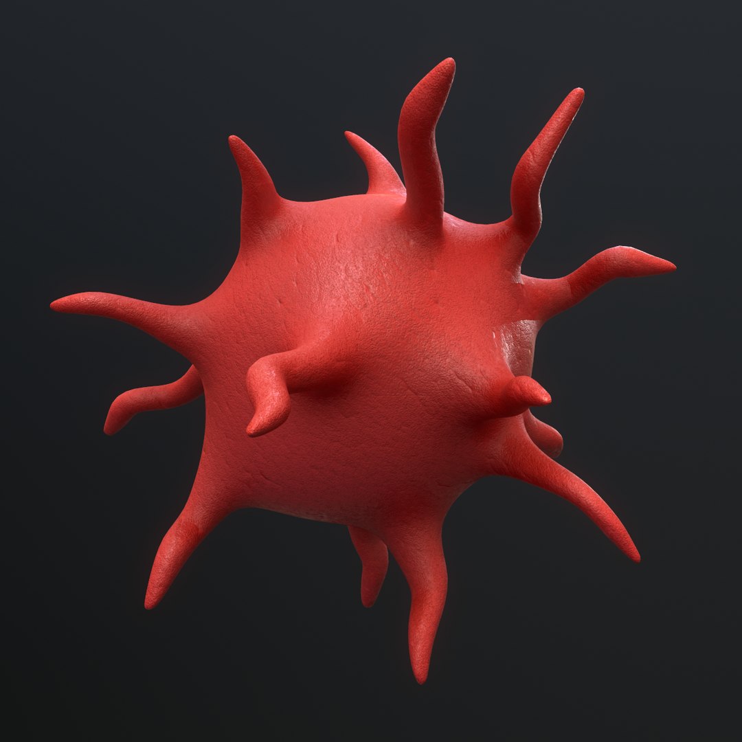 Platelet thrombocyte model - TurboSquid 1467937
