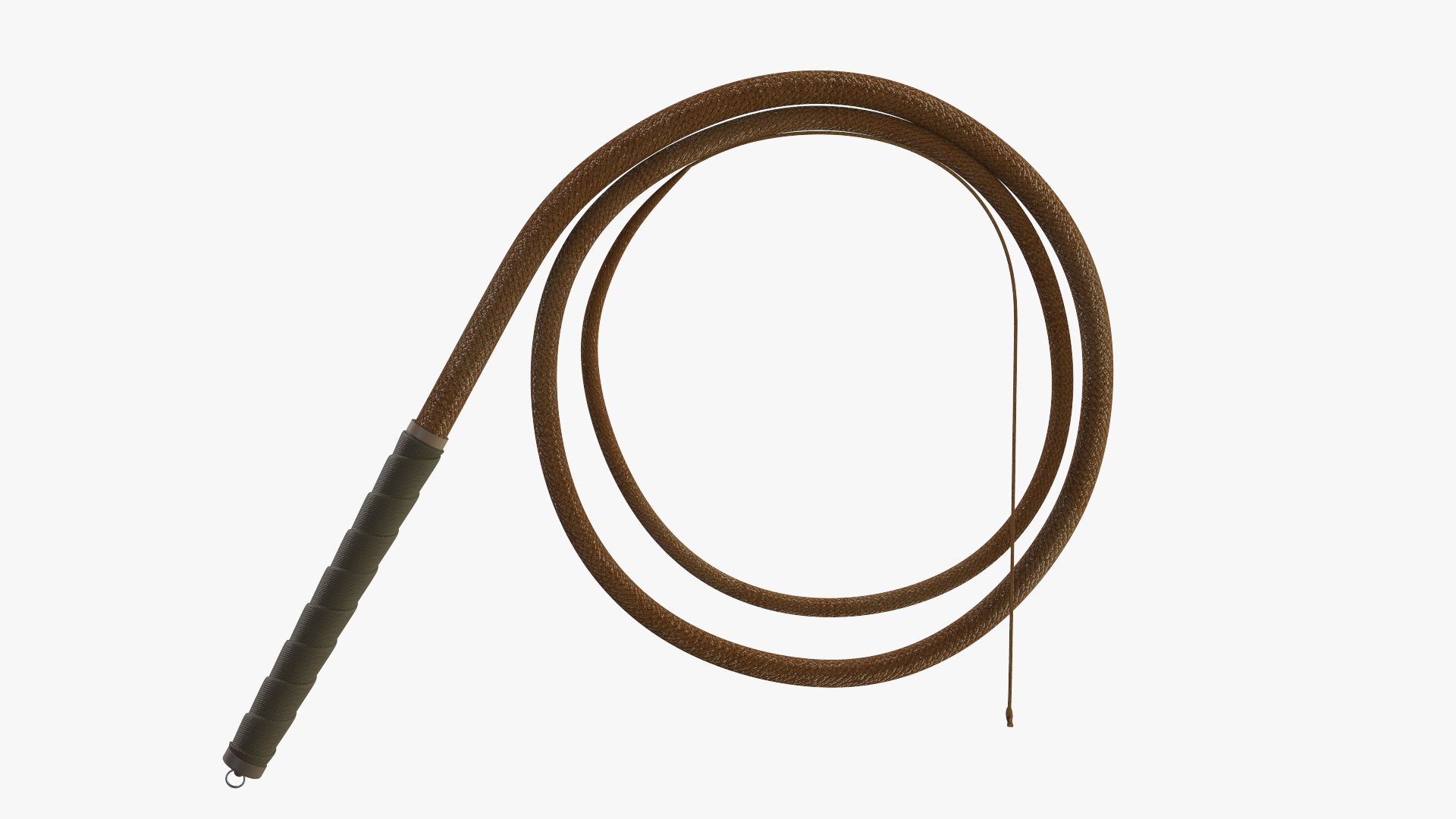 Whip lasso 3D model - TurboSquid 1468468