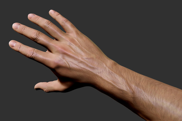 3D realistic male arm hand model - TurboSquid 1468803