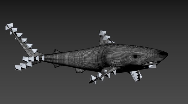 Reef shark 3D - TurboSquid 1469020