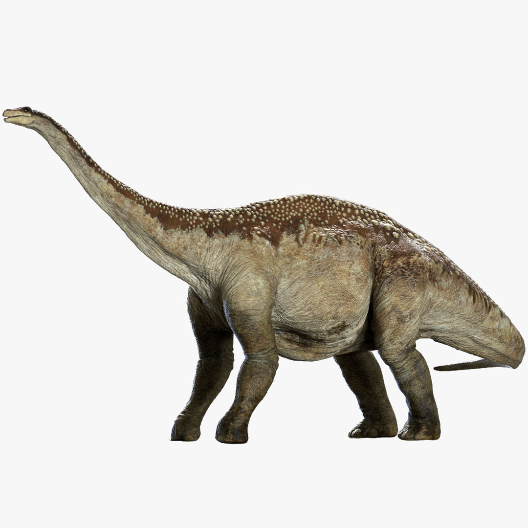 V-ray rig 3D model - TurboSquid 1419078