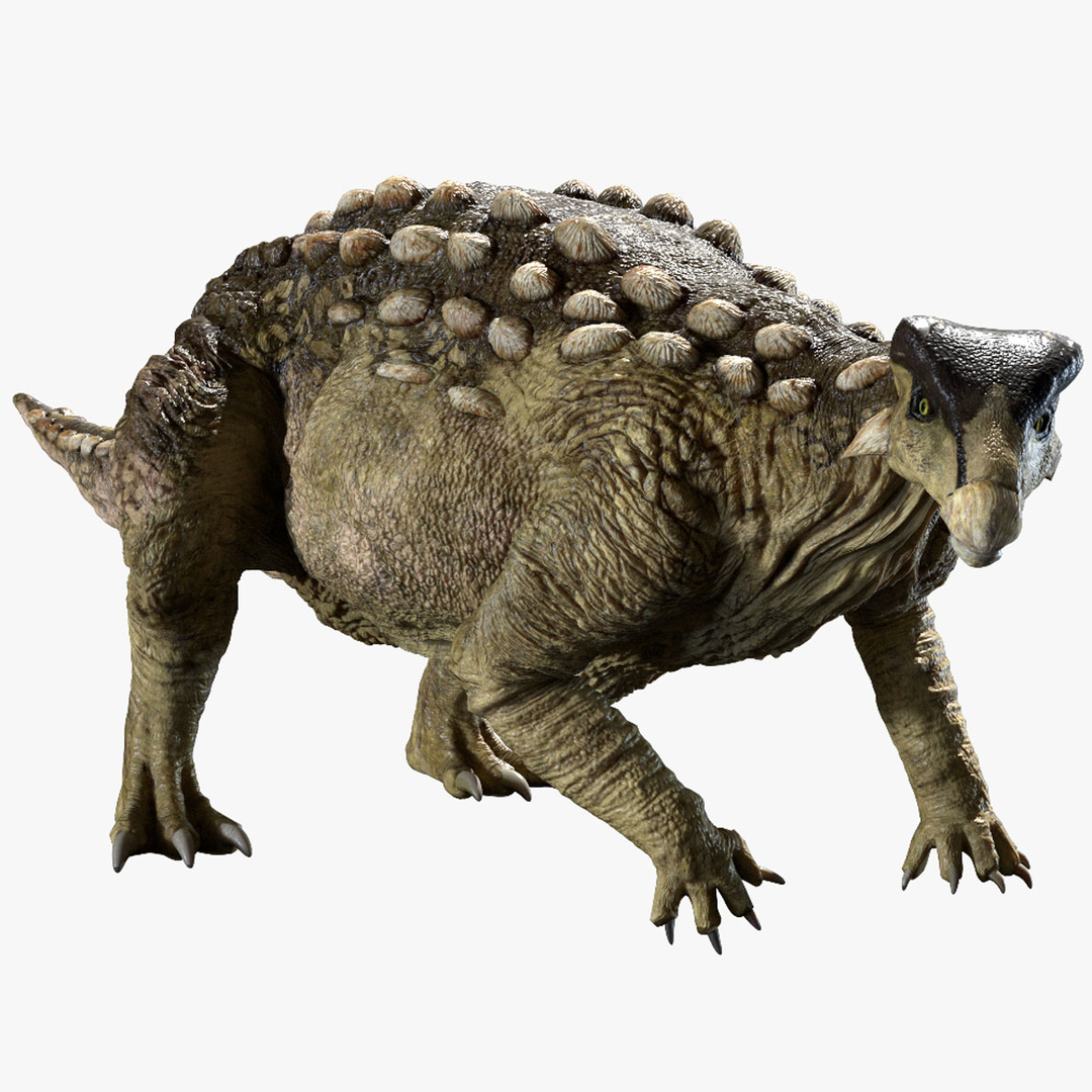 3D realistic rig model - TurboSquid 1414727