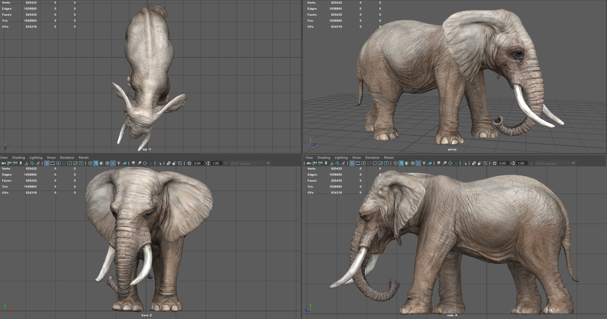 3D model elephant animal zoo - TurboSquid 1469549