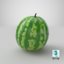 Watermelon 05 3D model - TurboSquid 1470185