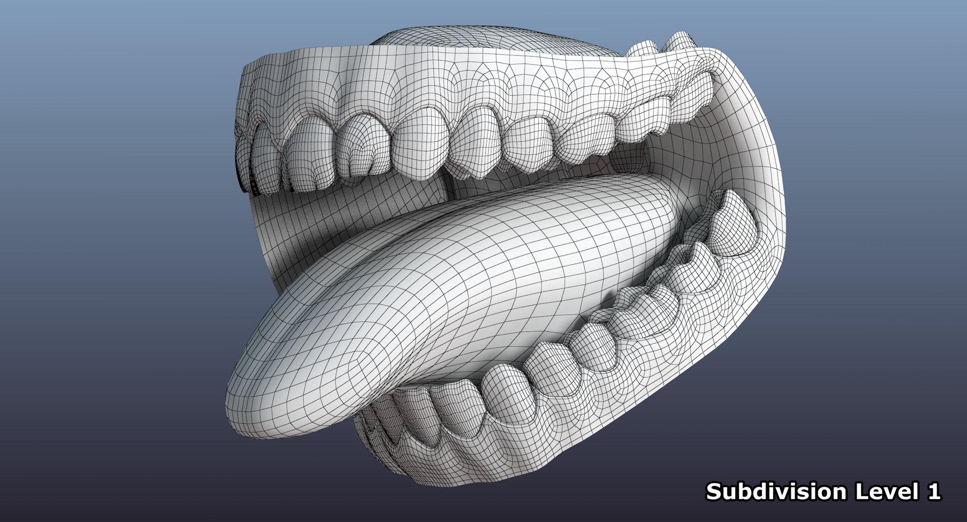 3D mouth gums cheeks - TurboSquid 1471564