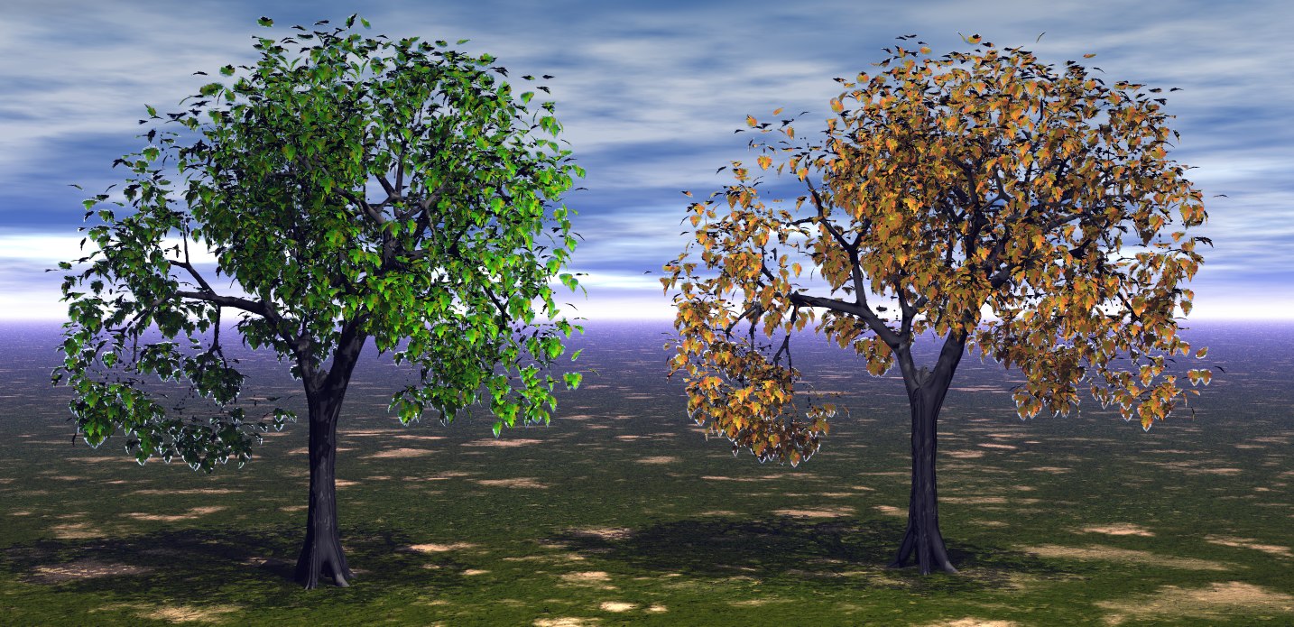 Maple tree model - TurboSquid 1471936