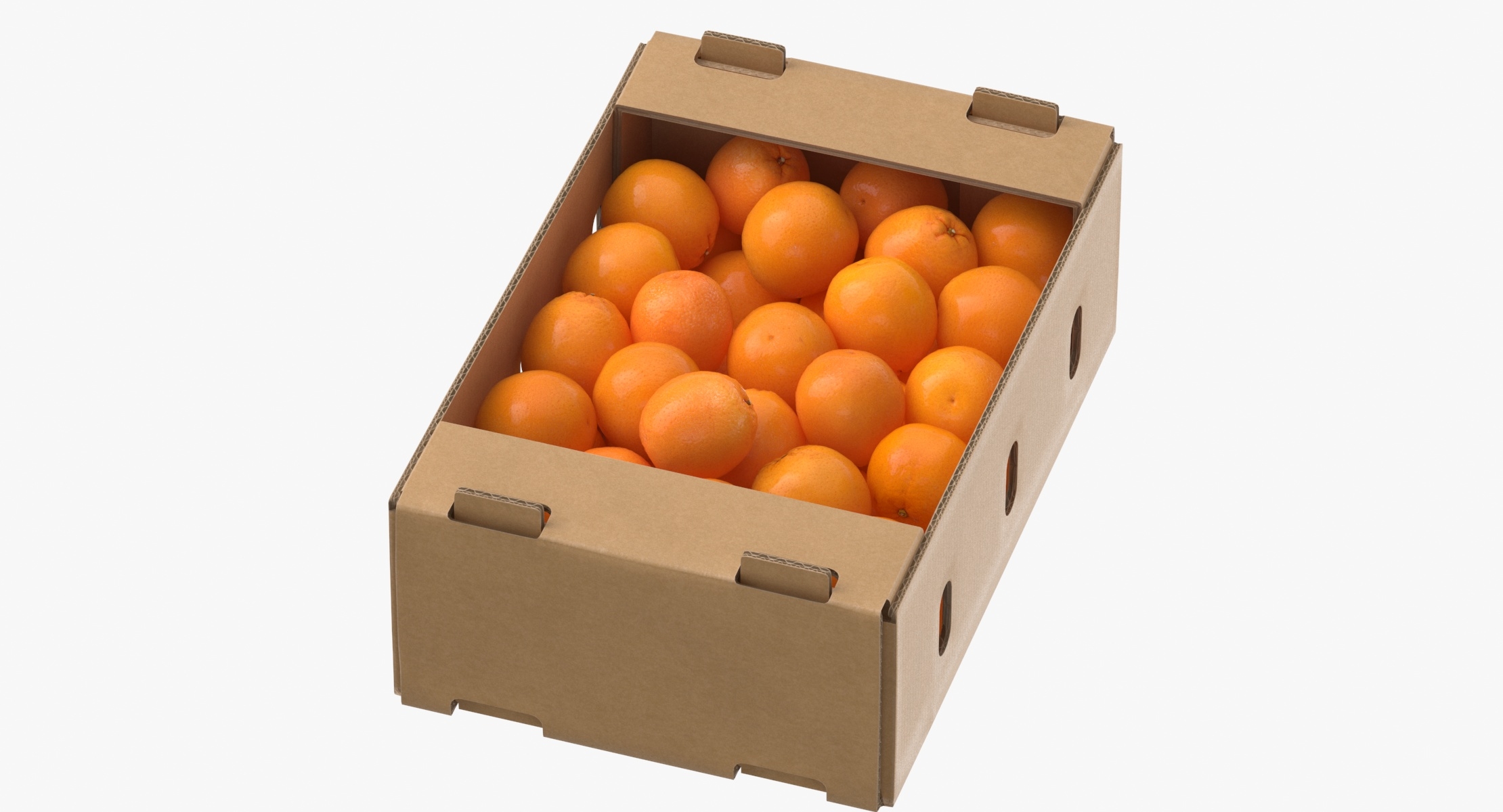 Karton Display Box 01 mit Orangen 3D-Modell - TurboSquid 1473502