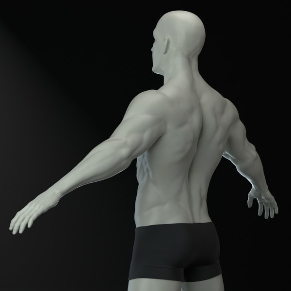 Male body 3D model - TurboSquid 1428179