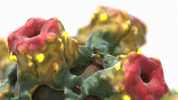 3D biological human papillomavirus hpv - TurboSquid 1473876