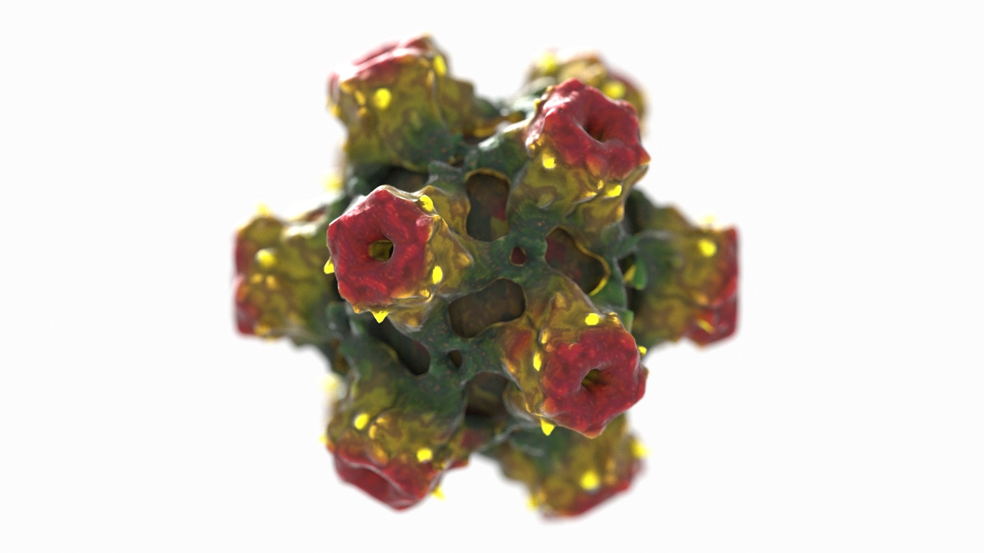 3D biological human papillomavirus hpv - TurboSquid 1473876